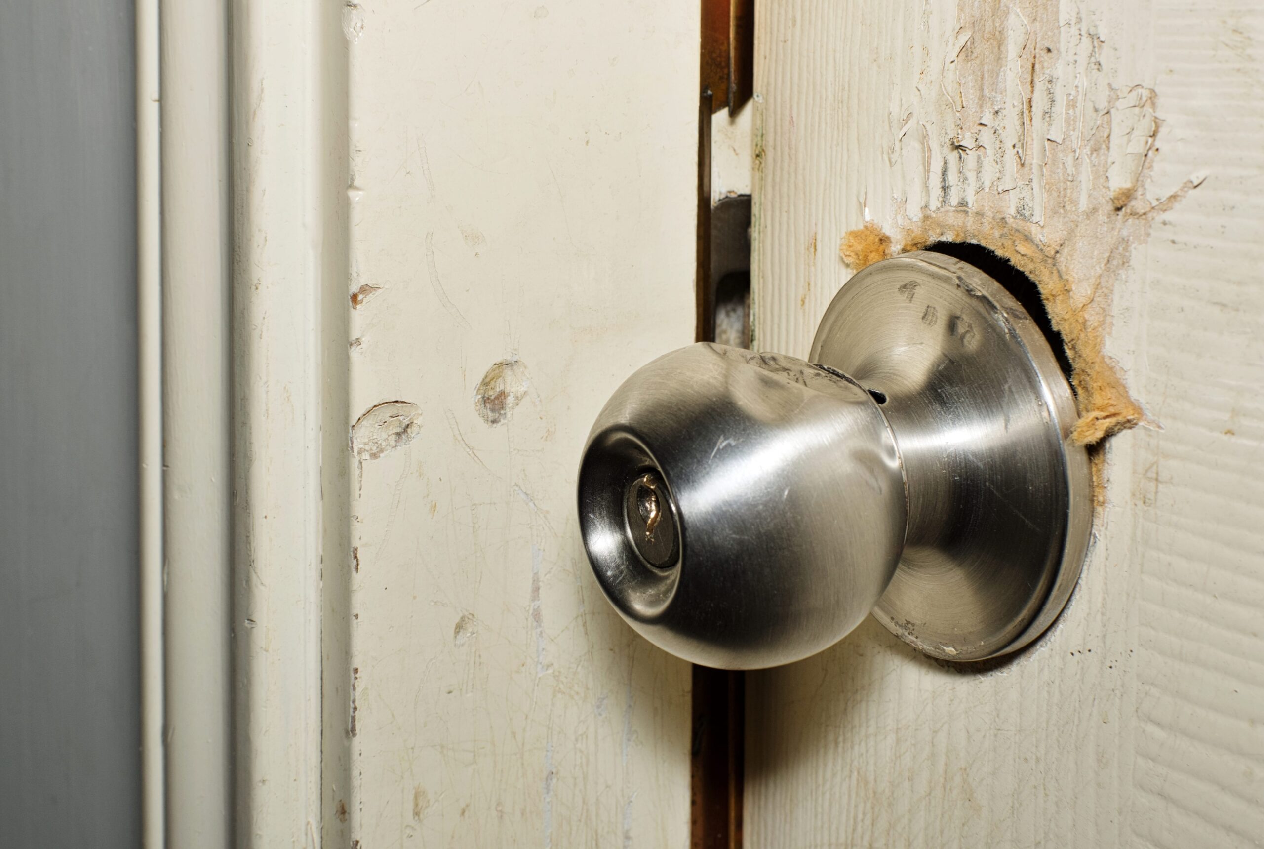 Traditional Doors have Weak Points. Strengthen Your Home with a Hidden ...